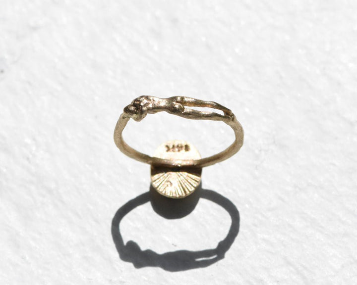 One of One—Secret Muse Ring with Rare Tourmaline – franny e